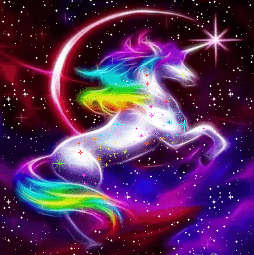 FAMILY REGISTRATION | Hapi Festival